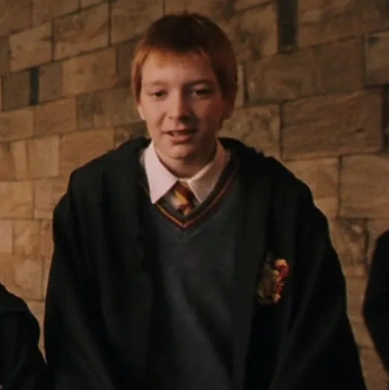 Weasleys Wizard Chia