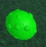 Colored Rokakaka Fruits | An Unoriginal Universe (roblox) Wiki | Fandom