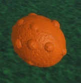 Colored Rokakaka Fruits | An Unoriginal Universe (roblox) Wiki | Fandom