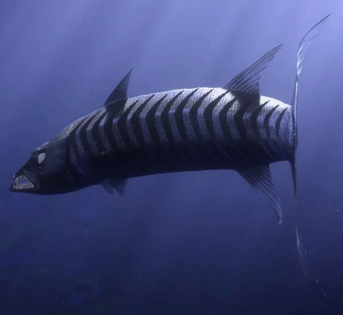 Barracuda Finding Nemo The 5d Combined Shared Crossovers For An The Goodevil Hybrid Wiki