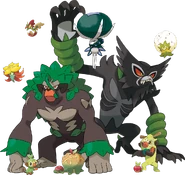 Erba | Analisi Pokémon Wiki | Fandom