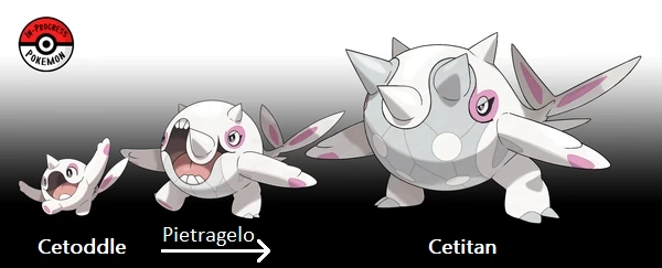 Cetitan | Analisi Pokémon Wiki | Fandom