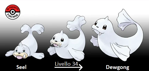 Dewgong | Analisi Pokémon Wiki | Fandom