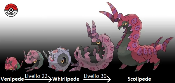 Whirlipede | Analisi Pokémon Wiki | Fandom