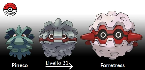 Pineco | Analisi Pokémon Wiki | Fandom