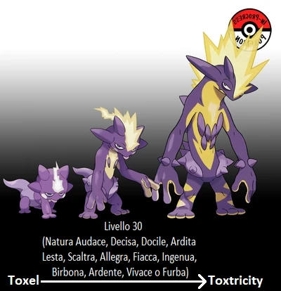 Toxel | Analisi Pokémon Wiki | Fandom