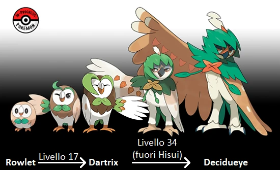 Dartrix | Analisi Pokémon Wiki | Fandom
