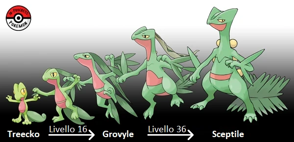 Treecko | Analisi Pokémon Wiki | Fandom