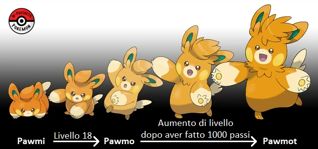 Pawmot | Analisi Pokémon Wiki | Fandom