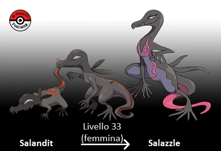 Salandit | Analisi Pokémon Wiki | Fandom