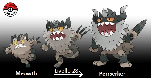 Perrserker | Analisi Pokémon Wiki | Fandom