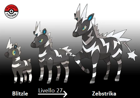 Blitzle | Analisi Pokémon Wiki | Fandom