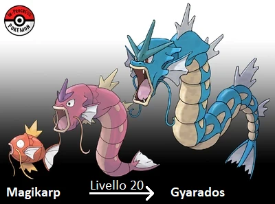 Magikarp | Analisi Pokémon Wiki | Fandom