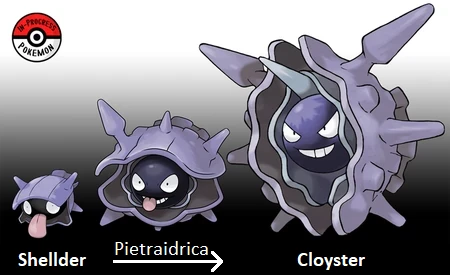 Shellder | Analisi Pokémon Wiki | Fandom