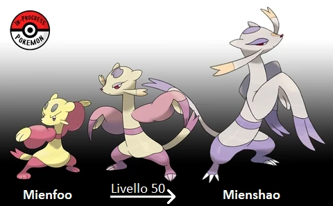 Mienfoo | Analisi Pokémon Wiki | Fandom
