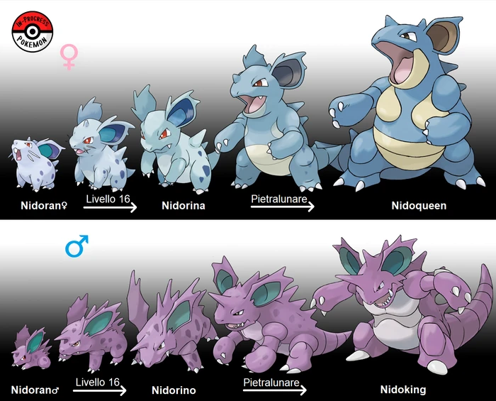 Nidoking | Analisi Pokémon Wiki | Fandom