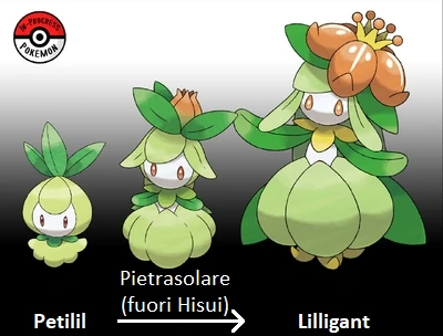 Petilil | Analisi Pokémon Wiki | Fandom