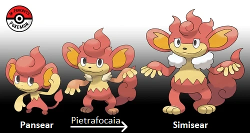 Pansear | Analisi Pokémon Wiki | Fandom