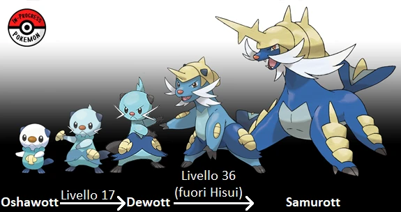 Oshawott | Analisi Pokémon Wiki | Fandom