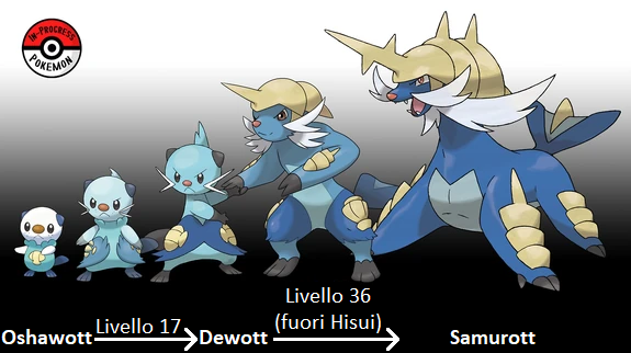 Oshawott | Analisi Pokémon Wiki | Fandom