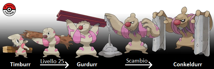 Conkeldurr | Analisi Pokémon Wiki | Fandom