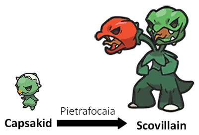 Capsakid | Analisi Pokémon Wiki | Fandom