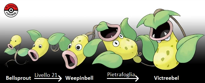 Bellsprout | Analisi Pokémon Wiki | Fandom