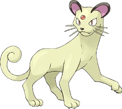 Persian | Analisi Pokémon Wiki | Fandom