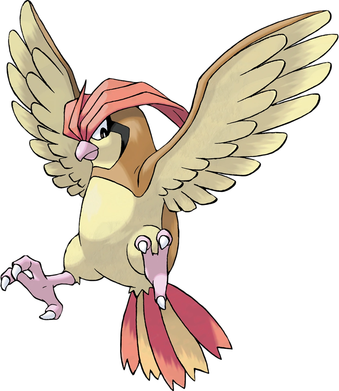 Pidgeotto | Analisi Pokémon Wiki | Fandom