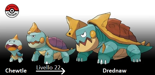 Chewtle | Analisi Pokémon Wiki | Fandom
