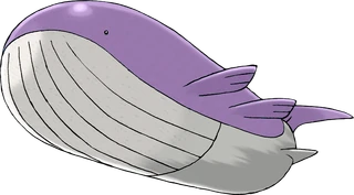 Wailord | Analisi Pokémon Wiki | Fandom