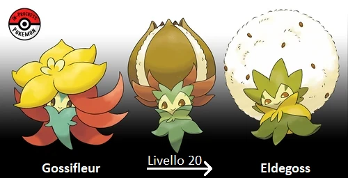 Eldegoss | Analisi Pokémon Wiki | Fandom