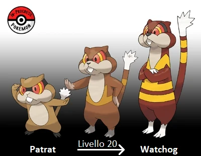 Patrat | Analisi Pokémon Wiki | Fandom