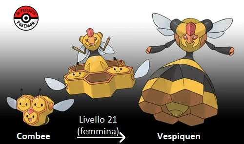 Combee | Analisi Pokémon Wiki | Fandom