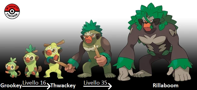 Thwackey | Analisi Pokémon Wiki | Fandom