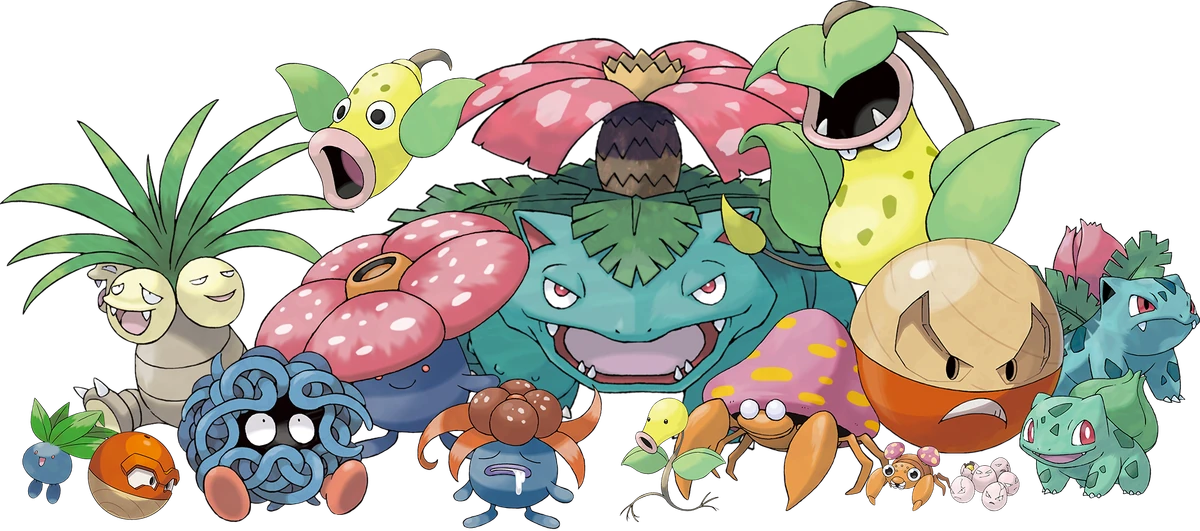 Erba | Analisi Pokémon Wiki | Fandom