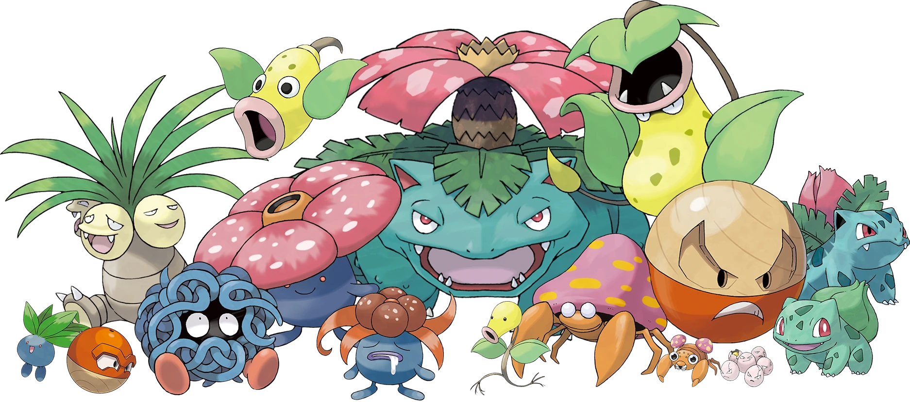 Erba | Analisi Pokémon Wiki | Fandom