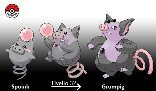 Grumpig | Analisi Pokémon Wiki | Fandom