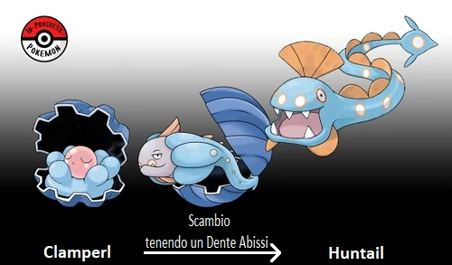 Clamperl | Analisi Pokémon Wiki | Fandom