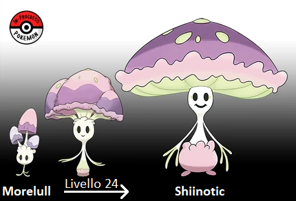 Morelull | Analisi Pokémon Wiki | Fandom