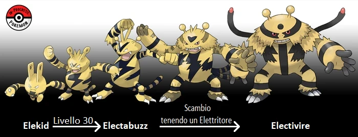Elekid | Analisi Pokémon Wiki | Fandom