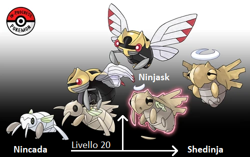 Nincada | Analisi Pokémon Wiki | Fandom