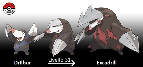 Drilbur | Analisi Pokémon Wiki | Fandom