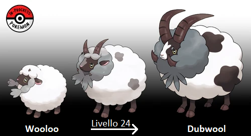 Wooloo | Analisi Pokémon Wiki | Fandom