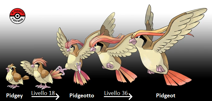 Pidgey Analisi Pokémon Wiki Fandom
