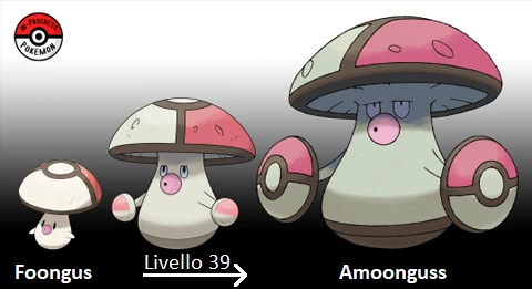 Foongus | Analisi Pokémon Wiki | Fandom