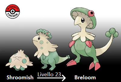 Shroomish | Analisi Pokémon Wiki | Fandom