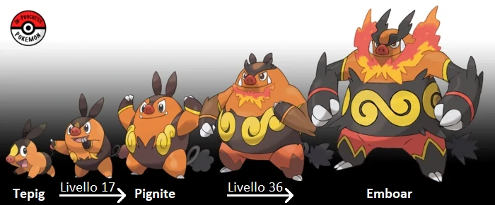 Tepig | Analisi Pokémon Wiki | Fandom