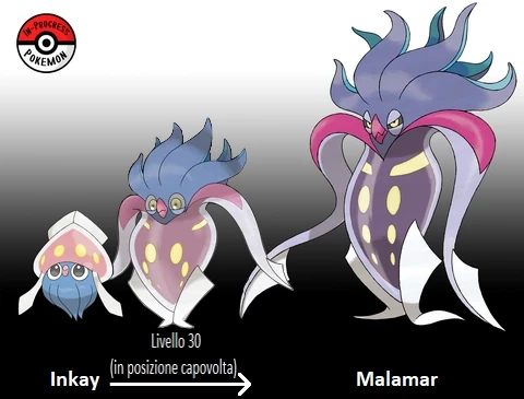 Inkay | Analisi Pokémon Wiki | Fandom