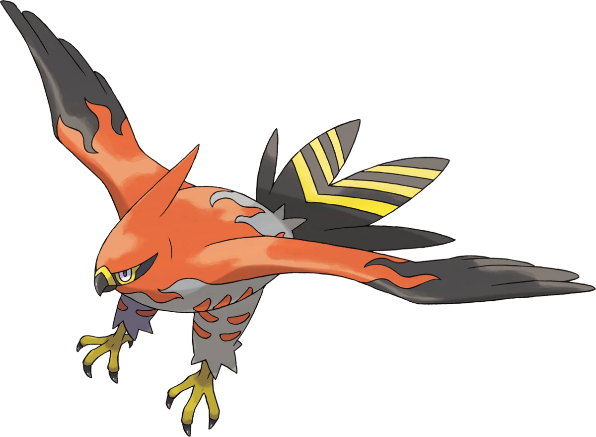 Talonflame | Analisi Pokémon Wiki | Fandom